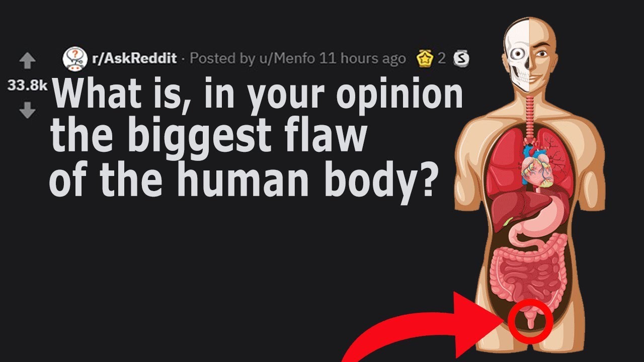 Doctors Share The Biggest FLAW In The Human Body r AskReddit YouTube doctors-share-the-biggest-flaw-in-the-human-body-r-askreddit-youtube