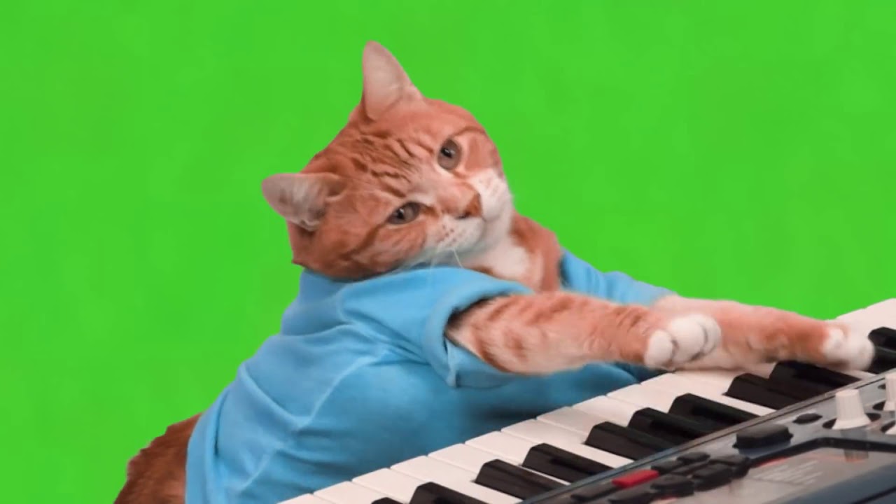 Make Your Own Keyboard Cat Green Screen Full HD- video Viên xanh thiết ...