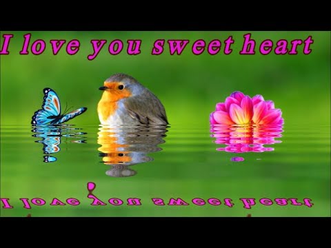 !! Love whatsapp status video !! creativ by dg beats