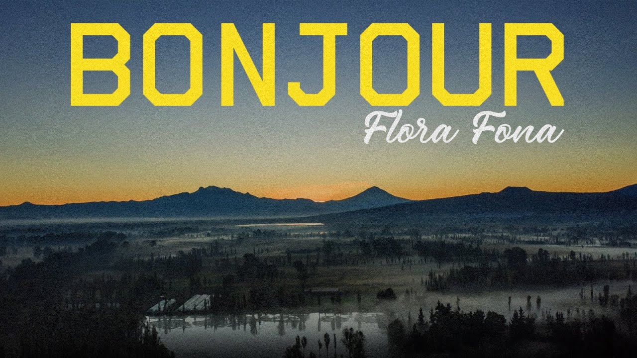 Flora Fona - Bonjour (visualizer) - YouTube