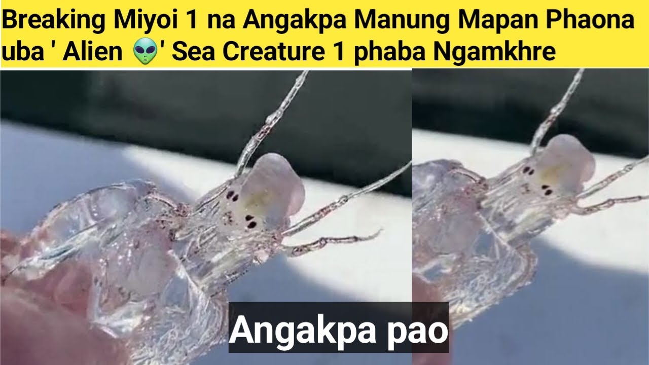 Breaking Miyoi 1 na Angakpa Manung Mapan Phaona uba ' Alien 👽' Sea ...