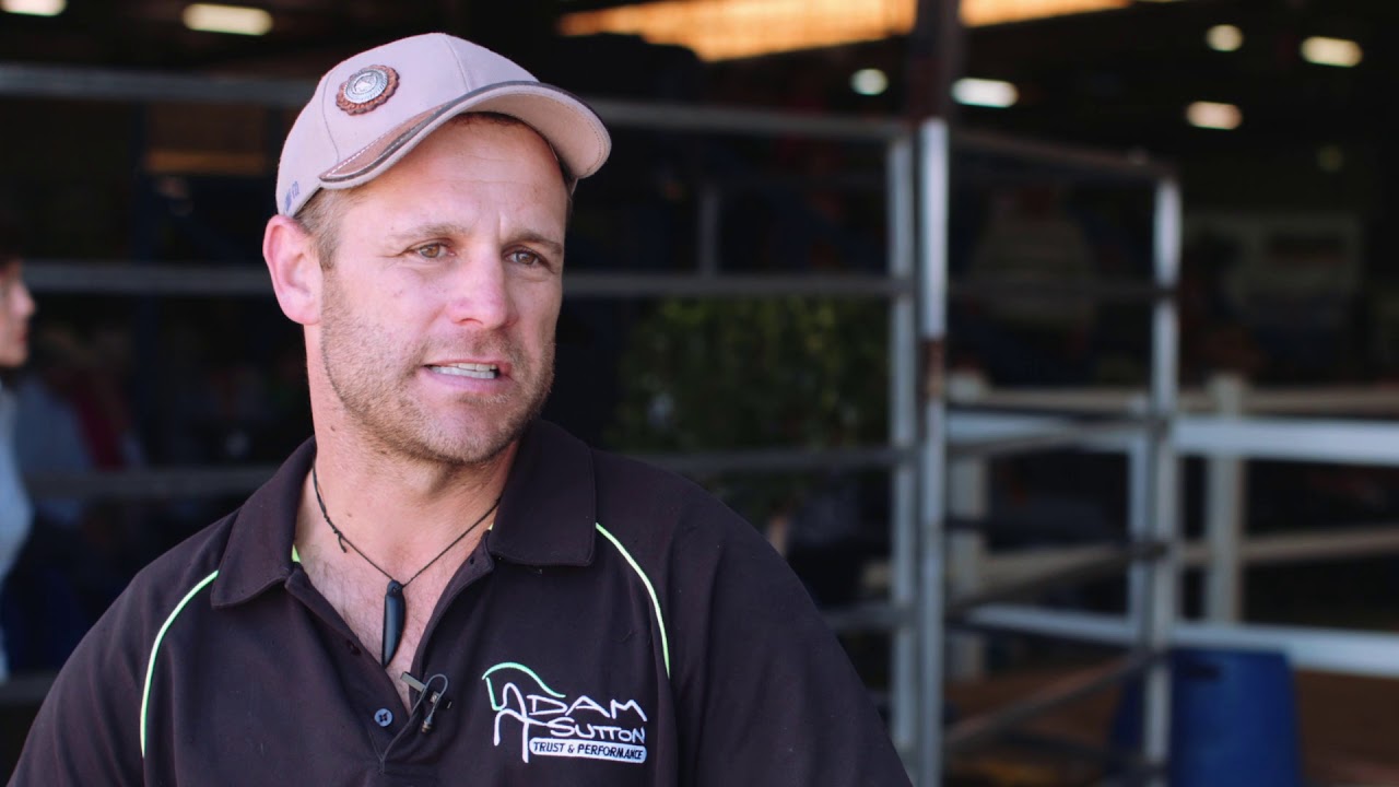 Adam Sutton total equine inerview - YouTube