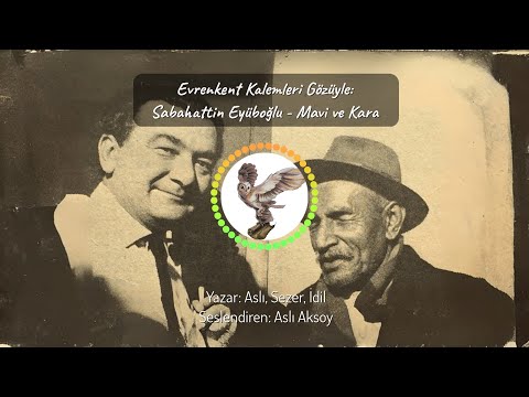 Sabahattin Eyüboğlu - Mavi ve Kara