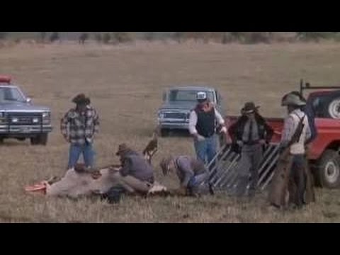 Endangered Species (1982) Movie Trailer - Robert Urich, JoBeth Williams, Paul Dooley & Pet