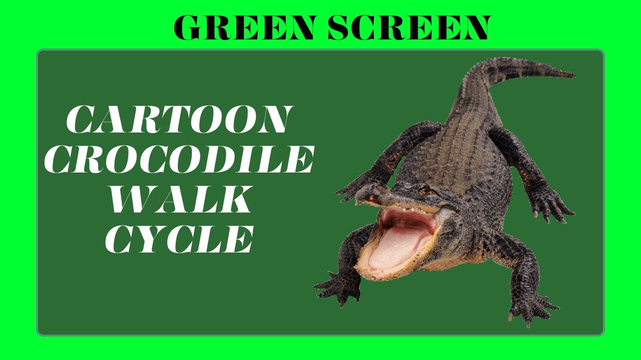 Crocodile Walk Cycle Green Screen| Beautiful Effect |No Copyright ...