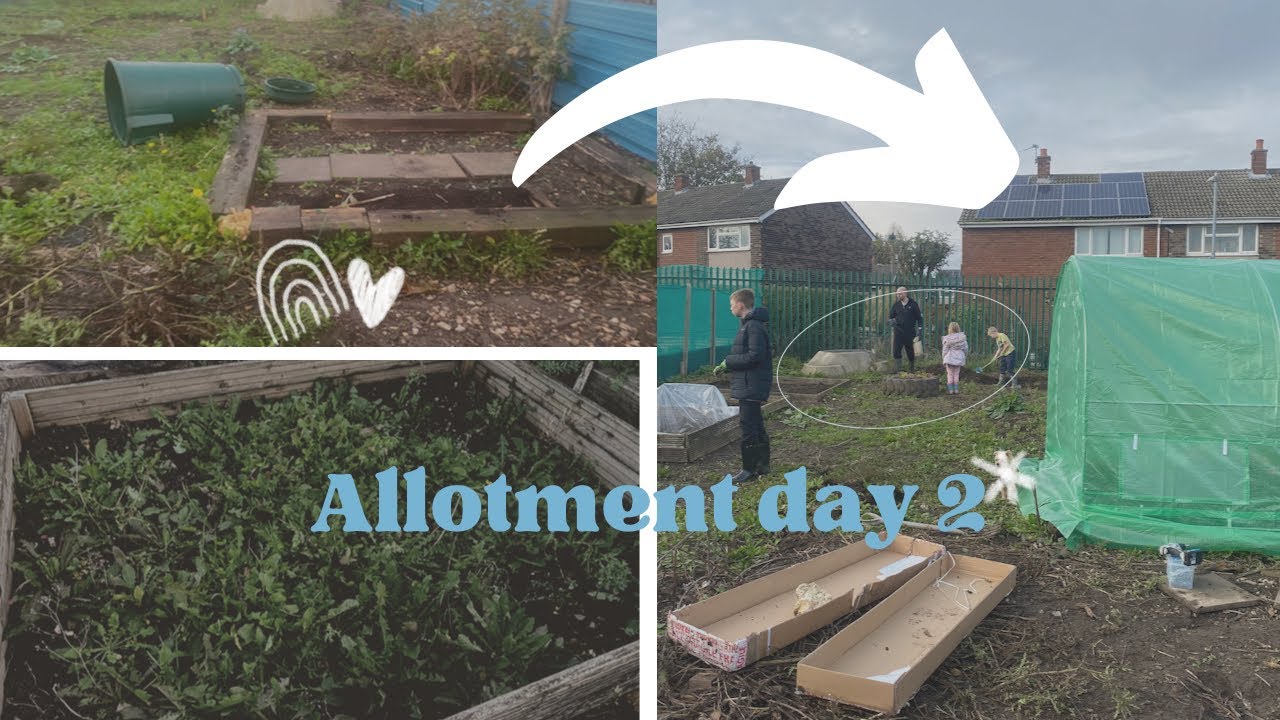 Allotment - Tour - Transformation - On My First Allotment | setting up ...