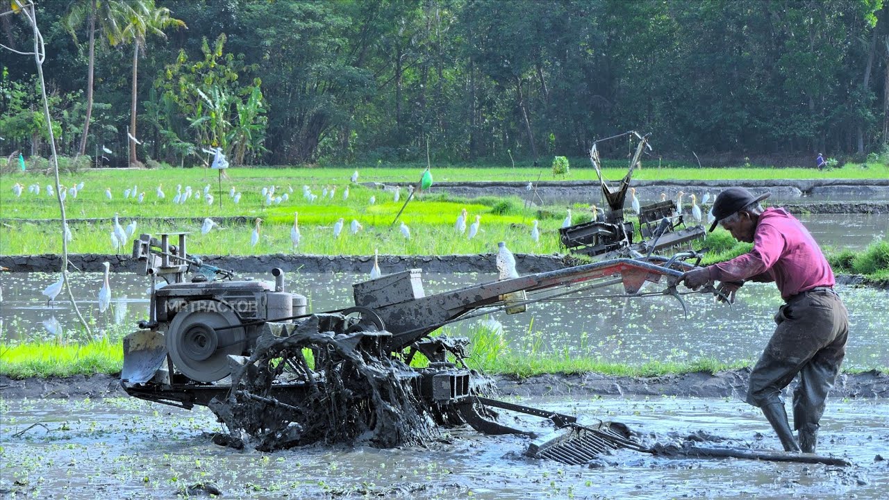Deep Mud Raking With Walk Behind Diesel Tractor - YouTube