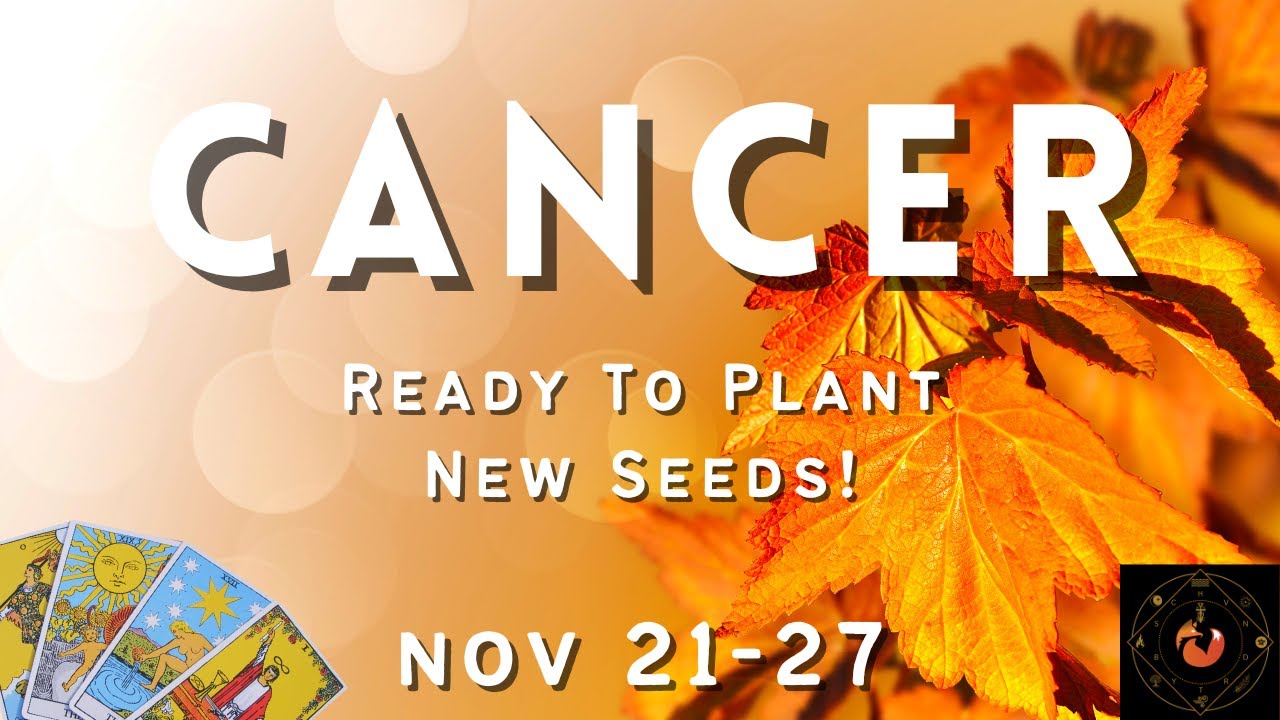 CANCER Tarot Weekly Reading November 21-27 "Ready To Plant New Seeds ...