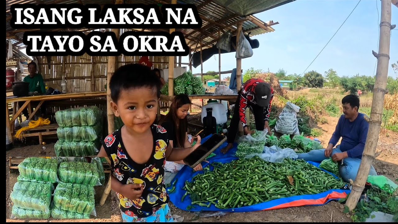 5TH HARVEST ISANG LAKSA NA TAYO AT, PASULONG PA ANG PITAS - YouTube