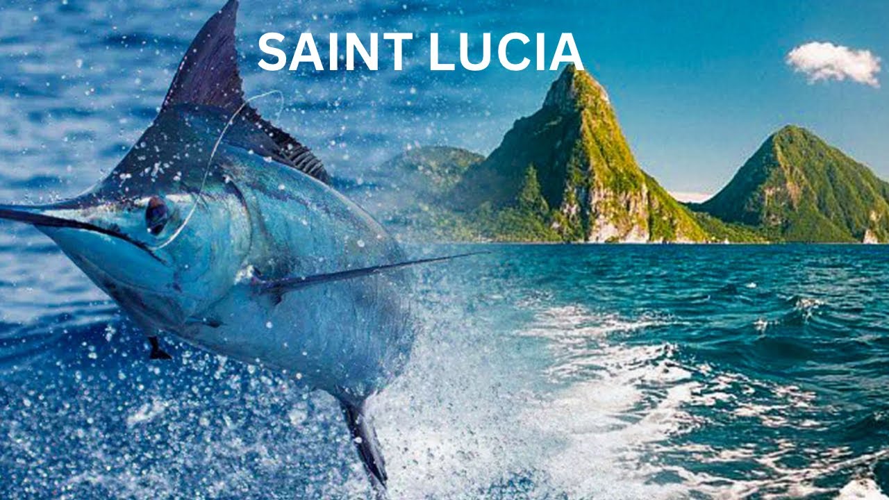 BLUE MARLIN MAKE SURE YOU HAVE ENERGY TO FIGHT WITH THEM - YouTube
