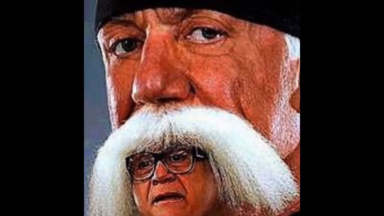 C418 - Danny Played Over Cursed (or blessed?) Images of Danny DeVito ...