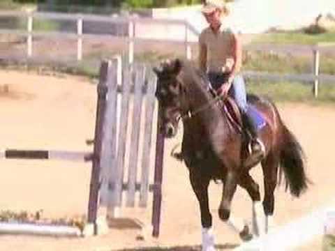 carl o callaghan at delmar - YouTube