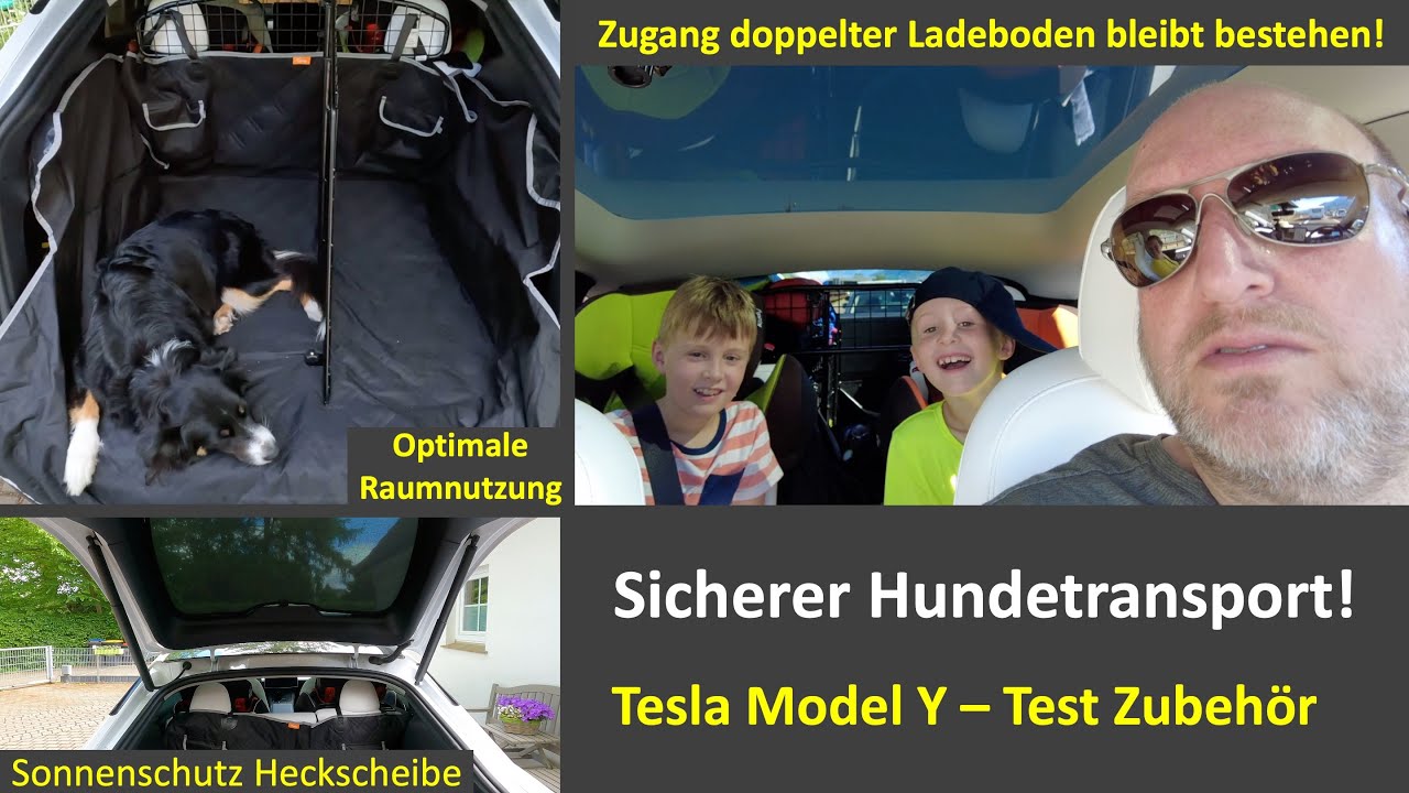 Tesla Model Y - Hund sicher im Kofferraum und trotzdem Stauraum ...