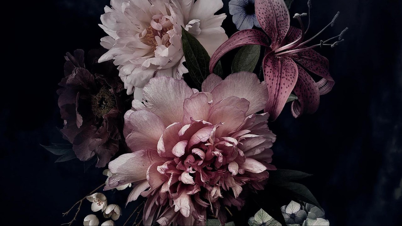 For the LOLs - YouTube