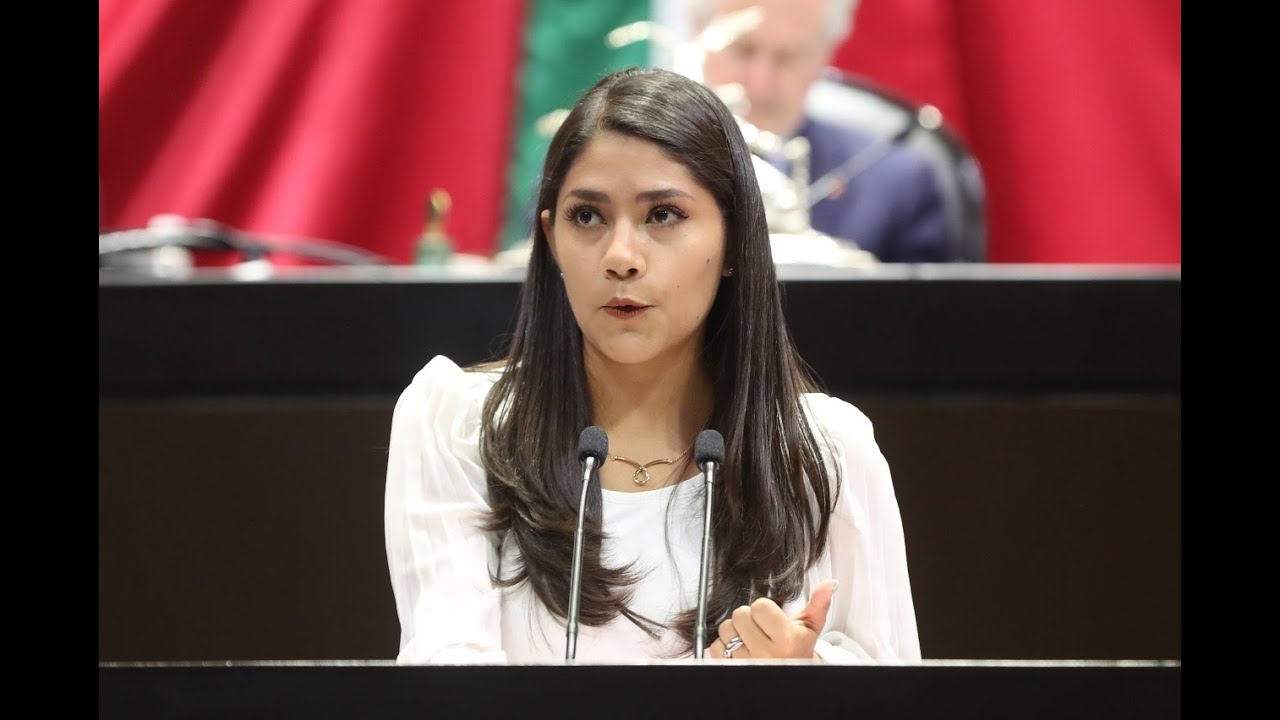 Dip. Ana Laura Valenzuela Sánchez (PAN) / Presentación de iniciativa ...