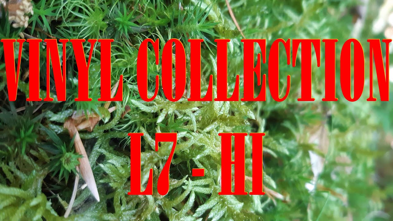 Vinyl Sammlung Pt.30 L7 - HI - YouTube
