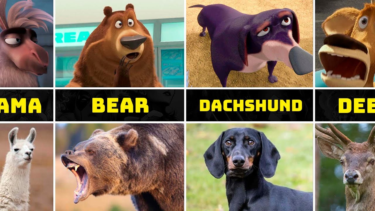 Open Season Characters in Real Life - YouTube
