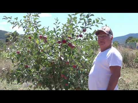 NASIL ANLATAYIM  (Şiir Müzik Ayvalık)