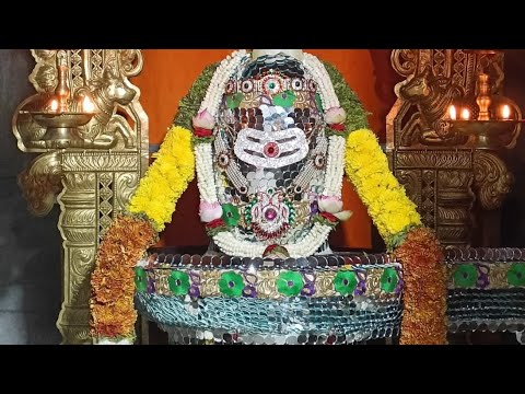 Sri Jangama Mallikarjuna. At Sri Brahmaramba Devi Temple. Navratri ...
