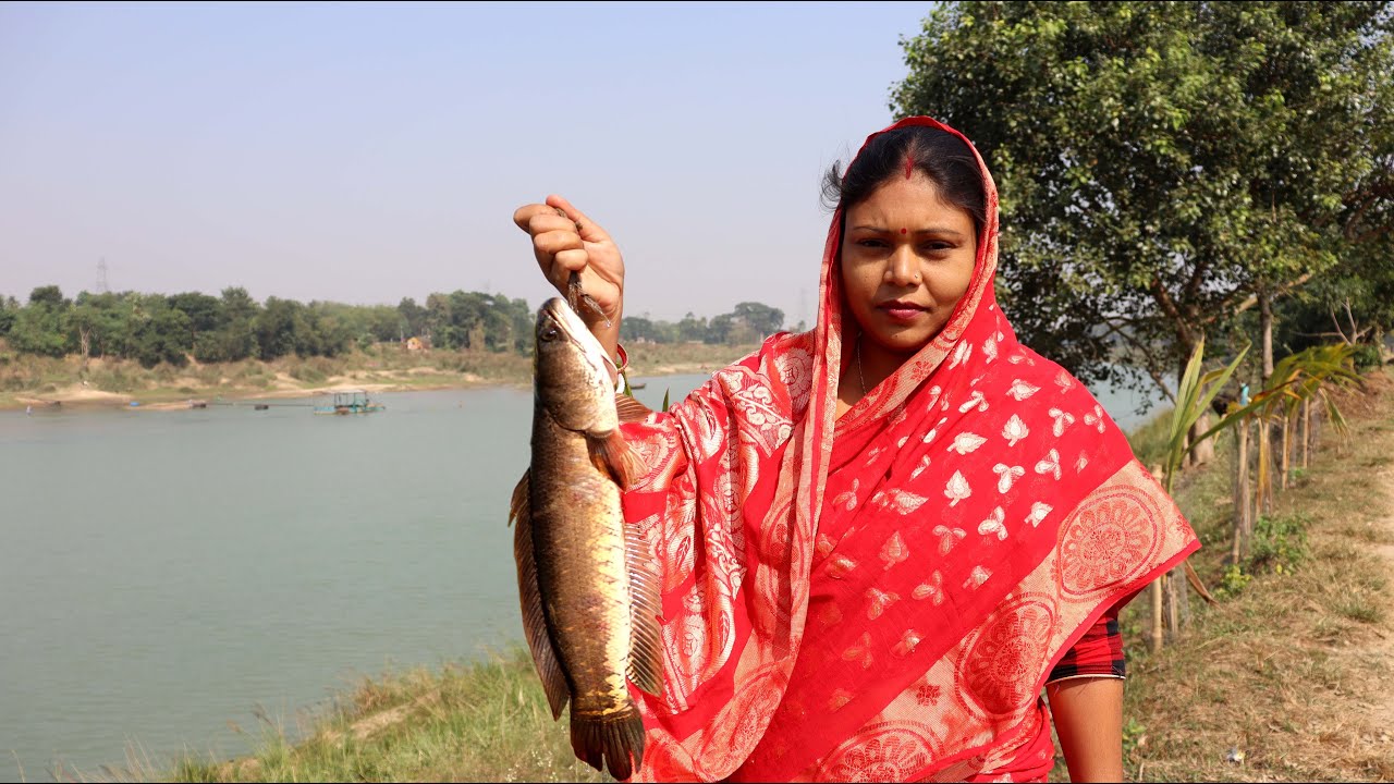 Big Shol Fish Recipe in Desi Village Style // Shol Fish Cutting Skill ...