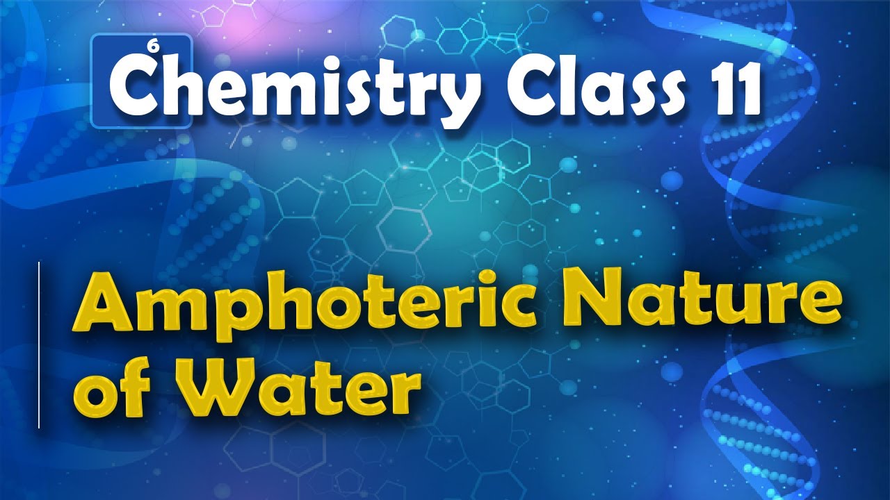 Amphoteric Nature of Water - Chemical Equilibrium - Chemistry Class 11 ...