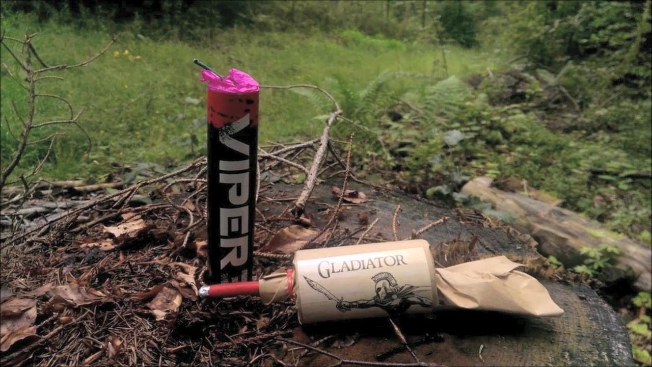 Firecracker VIPER 3 vs GLADIATOR - YouTube