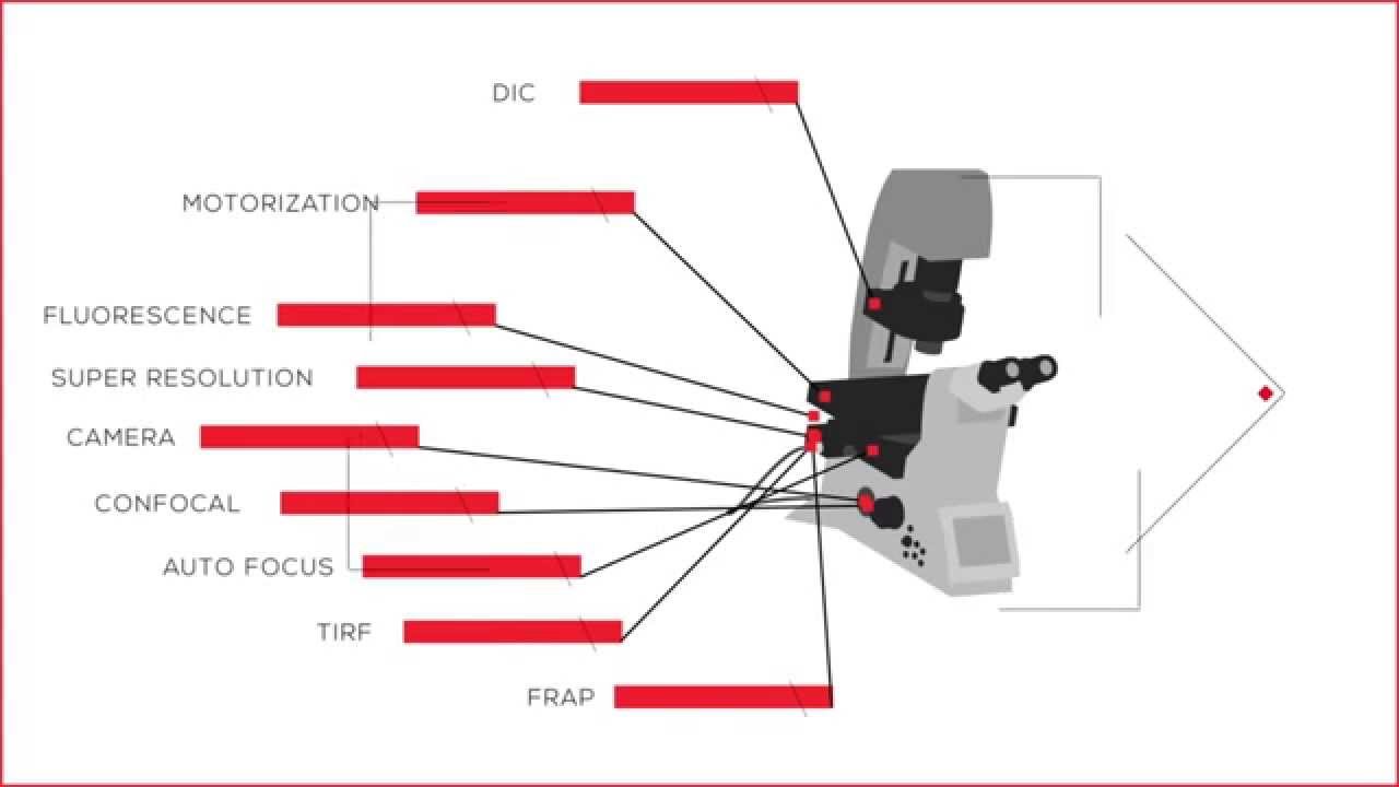 The Leica DMi8: Modularity - YouTube