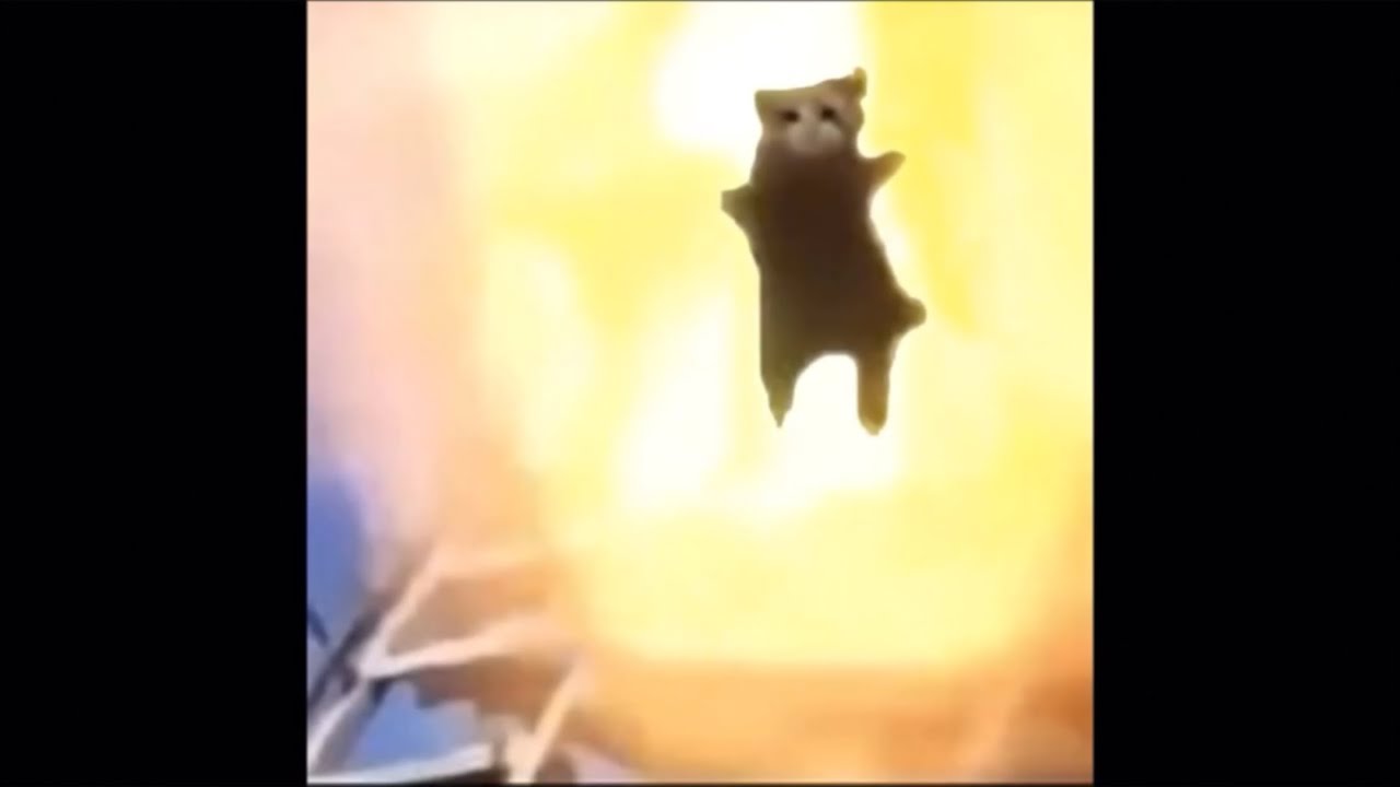 Volví Tonotos 3 Youtube