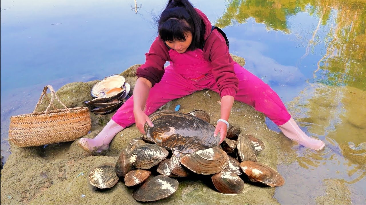 Sure enough, it's a great treasure hidden in big clams, obtaining ...