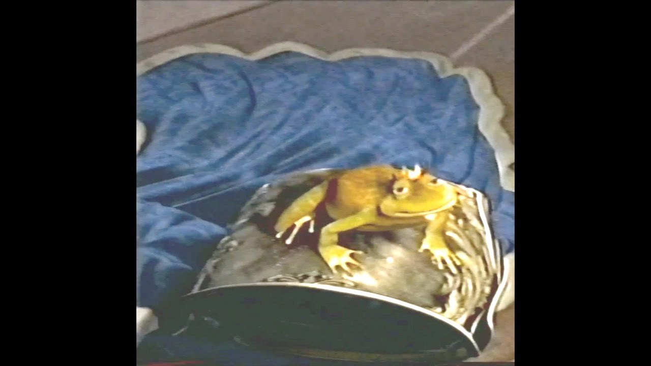 Shrek 2: Frog King (2004) (VHS Capture) (Filters) - YouTube
