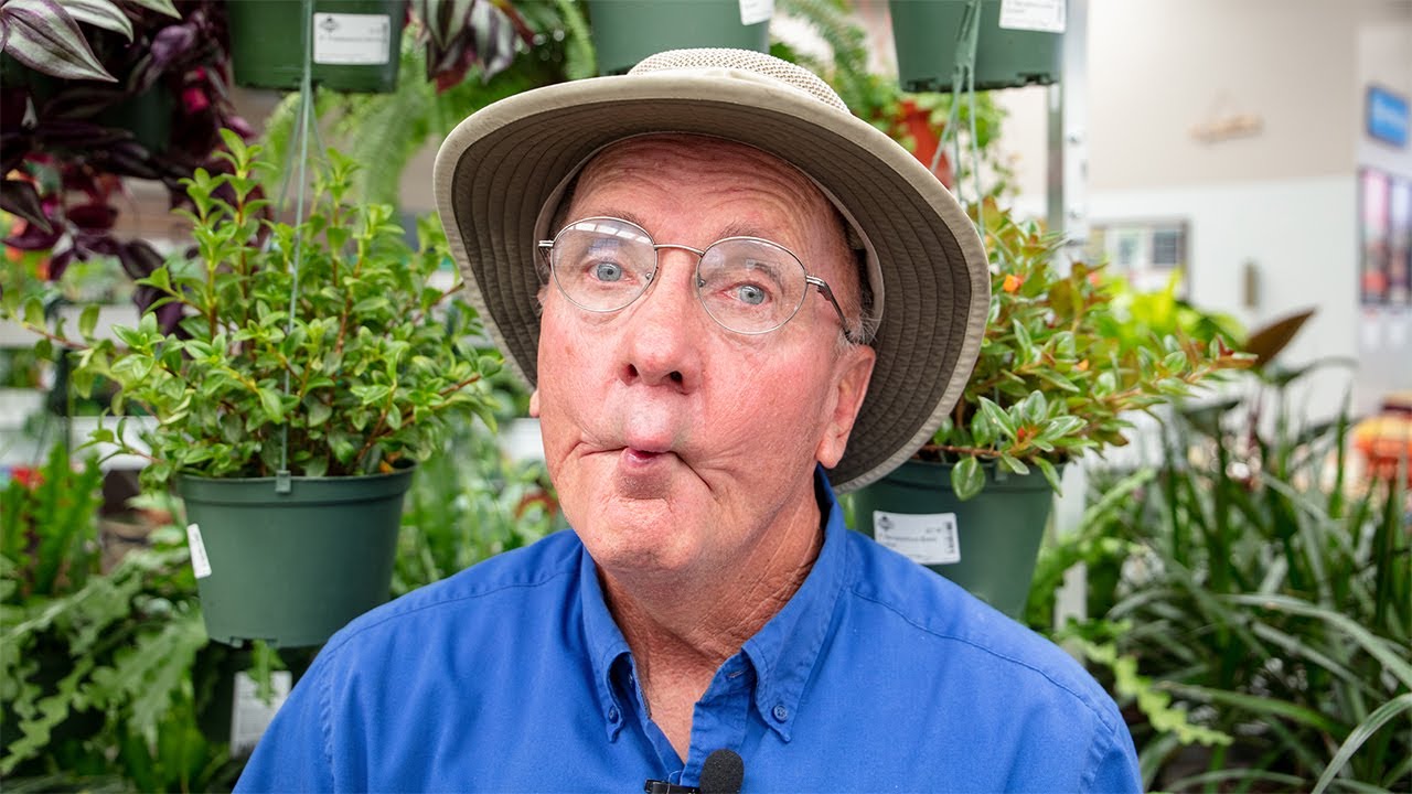 Steve Packer's Instagram, Twitter & Facebook on IDCrawl