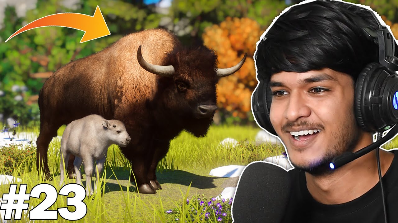 AMERICAN BISON | PLANET ZOO GAMEPLAY #23 - YouTube