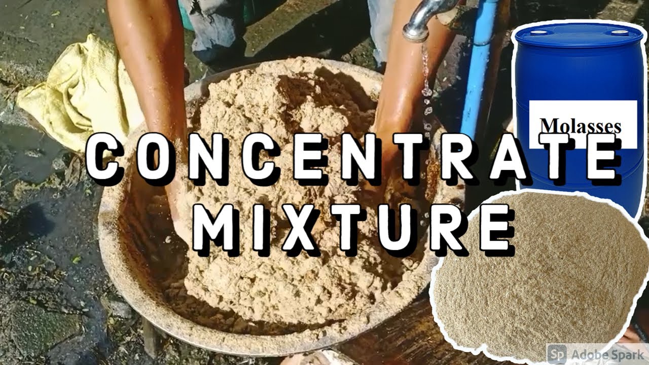 Healthy food for our Animals. Concentrate Mixture ( masustansyang ...
