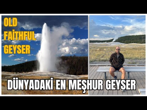 Old Faithful Memes