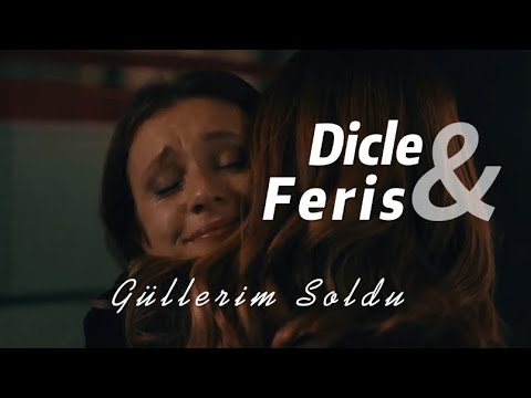 Dicle & Feris || Güllerim Soldu