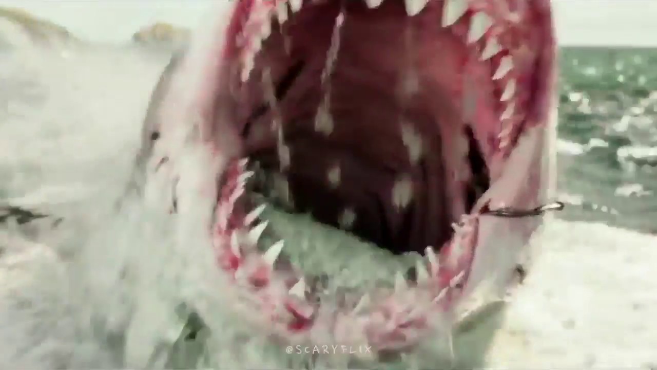 The Shallows Who Can Blame A Shark For Wanting A Bite Of That - YouTube