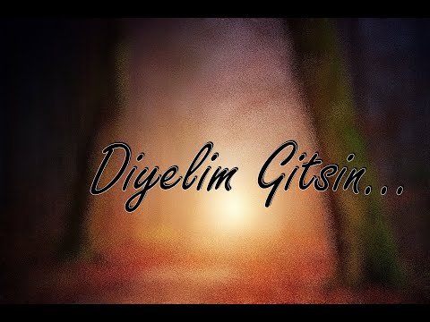 Mustafa Okay - Diyelim Gitsin #Şiir