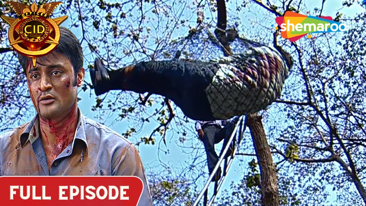 Unraveling The Mystery: Attack on CID Officer Daksh | Part 1 | CID ...