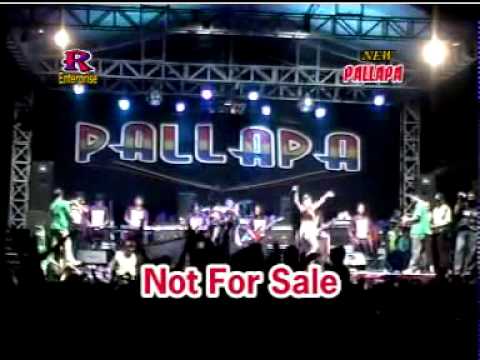 Minyak Wangi   Ayu Arista   New Pallapa Live In Ponggok Gondang   YouTube