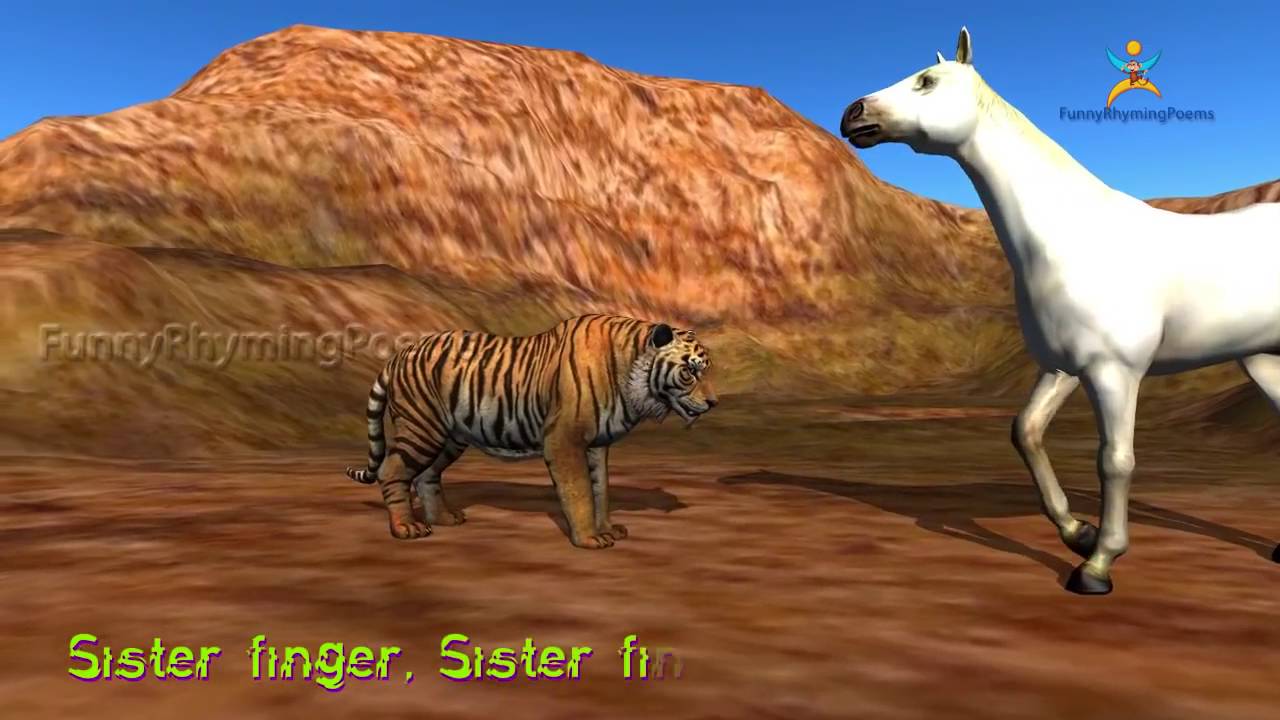 gorilla tiger Finger family 3d rhyme | Animated Nursery Children Finger ...