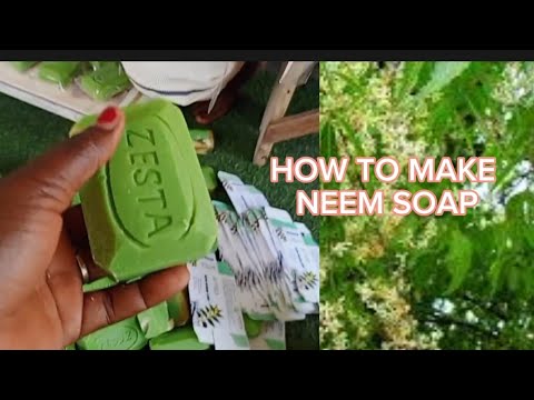 NEEM PLANT, HOW I MAKE NEEM SOAP - YouTube