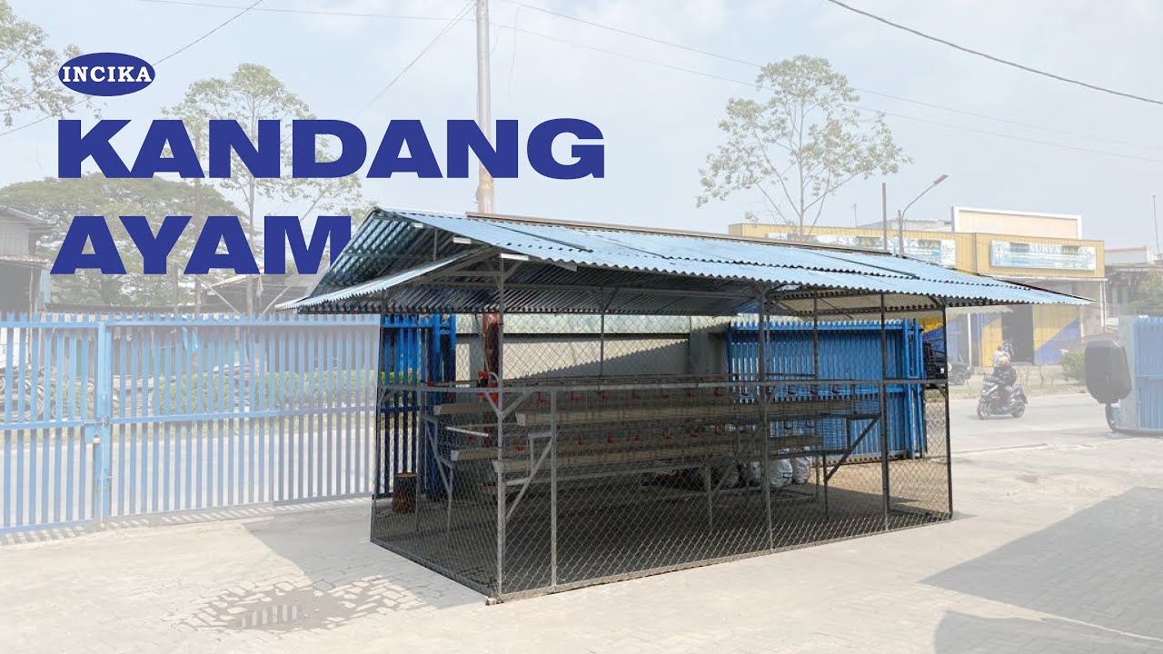 KANDANG AYAM | CV INCIKA JAYA - YouTube