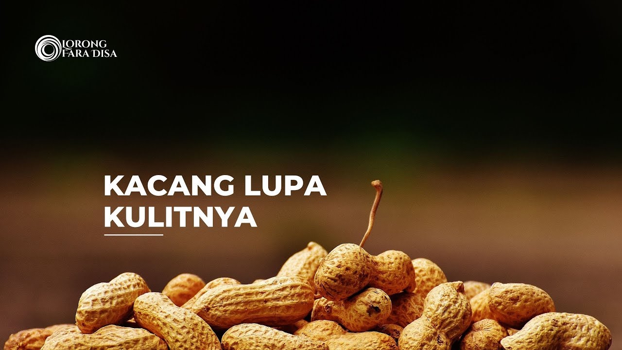 Kacang Lupa Kulitnya - Ustadz Ahmad Rudianto, Lc. - YouTube