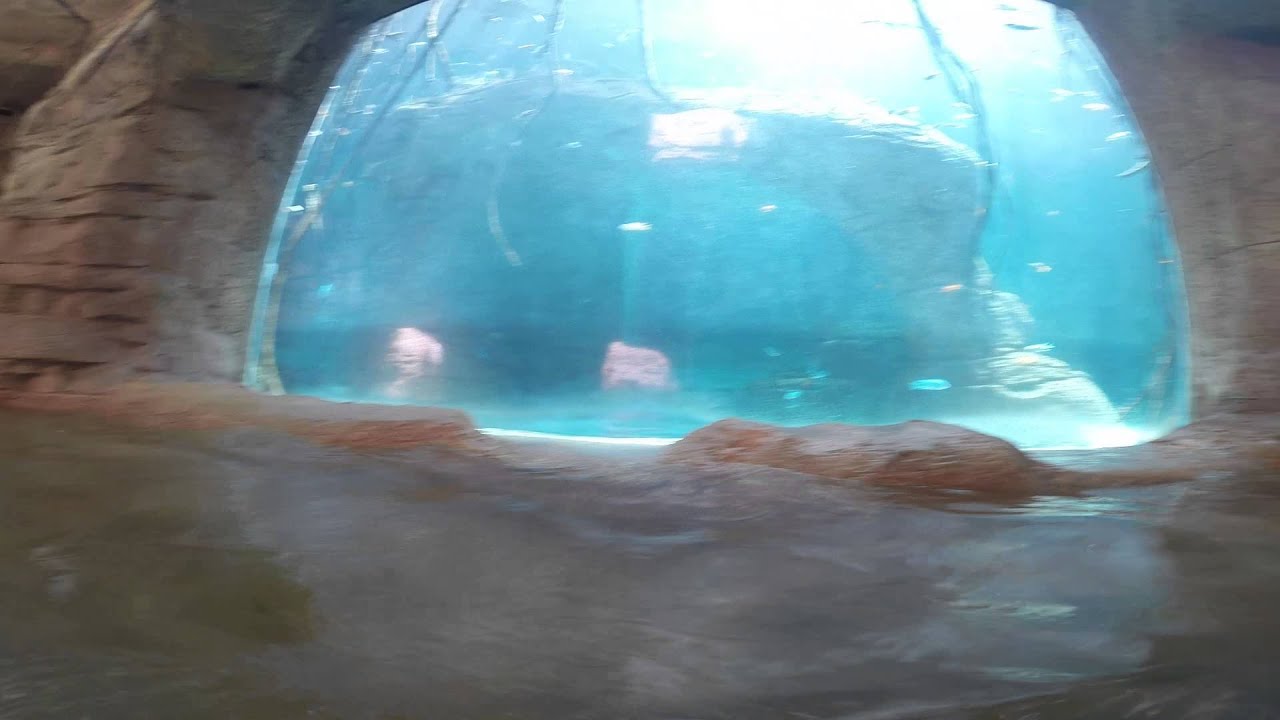 Atlantis THE ABYSS Slide GOPR0233 - YouTube