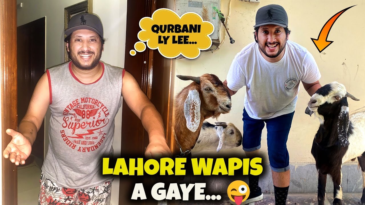 Lahore Atay sath Qurbani K Janwar ly Liay 😍| - YouTube