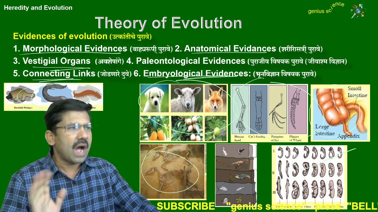 10th Science -Heredity and Evolution | Theory of Evolution ...