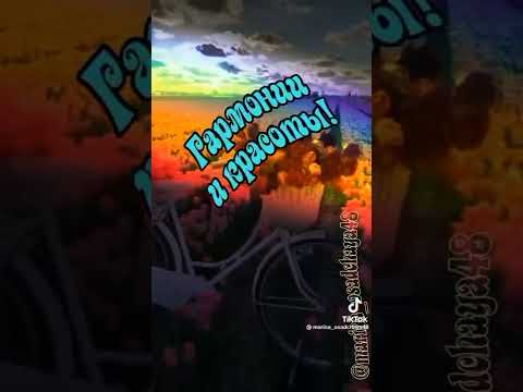 #вечерний приветик ❤