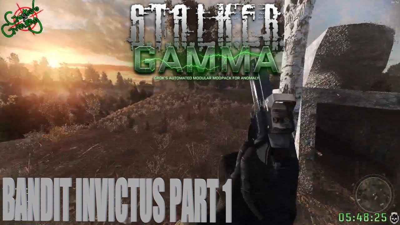 PERMA DEATH! S.T.A.L.K.E.R. GAMMA bandit Invictus part 1: Mosin and a ...