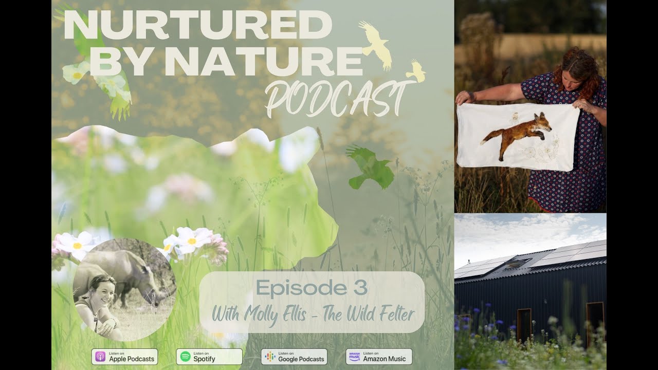 Nurtured by Nature Podcast Episode #3 "Start Where You Are" with Molly ...