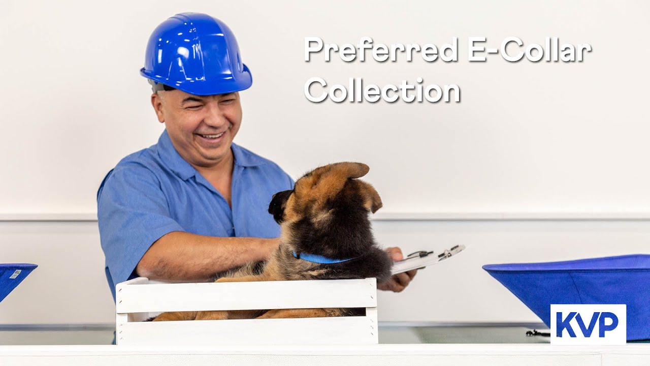 Veterinary Preferred E-Collars | KVP International Catalog - YouTube